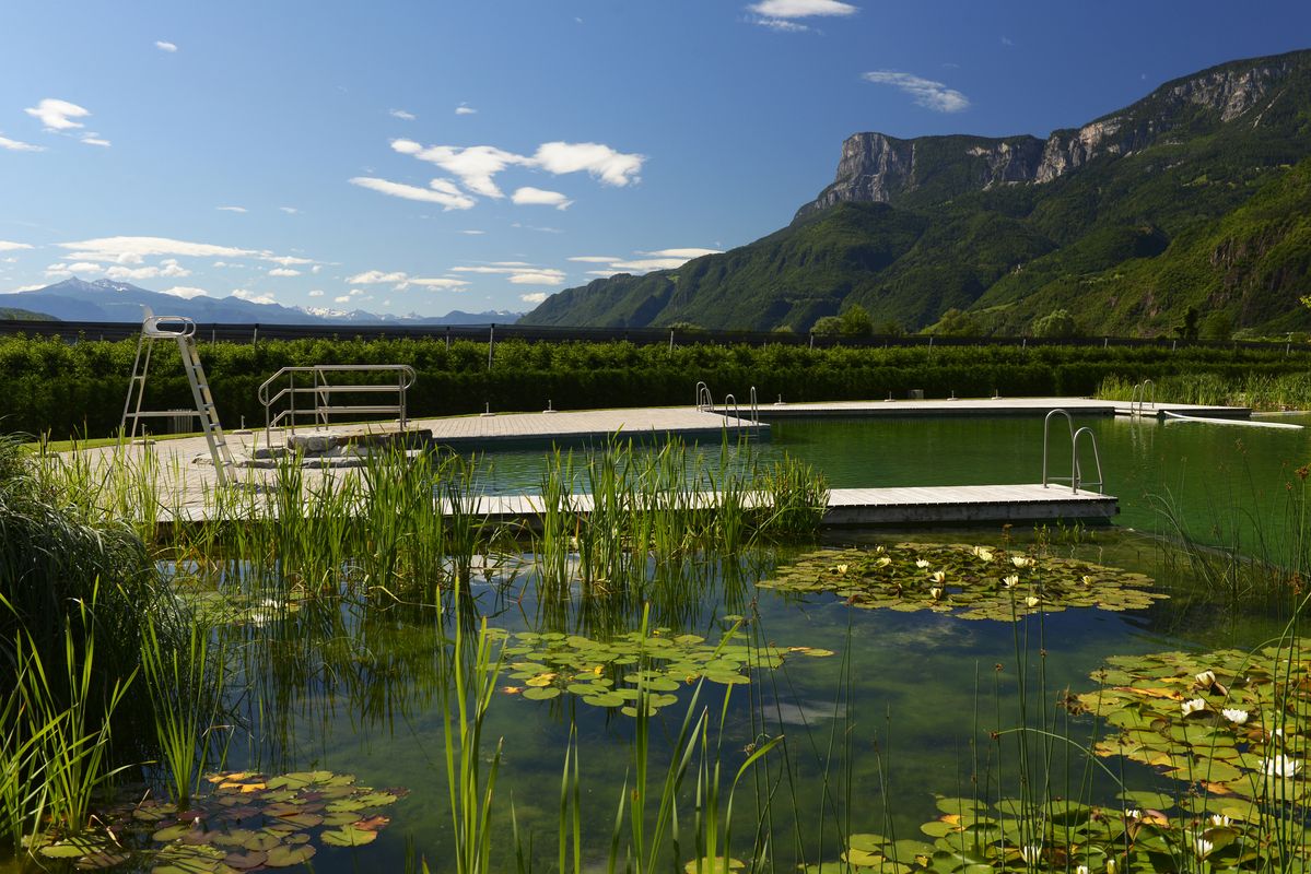 Bildgalerie | NATURBAD GARGAZON | [Gargazon, Southtyrol, Italy]